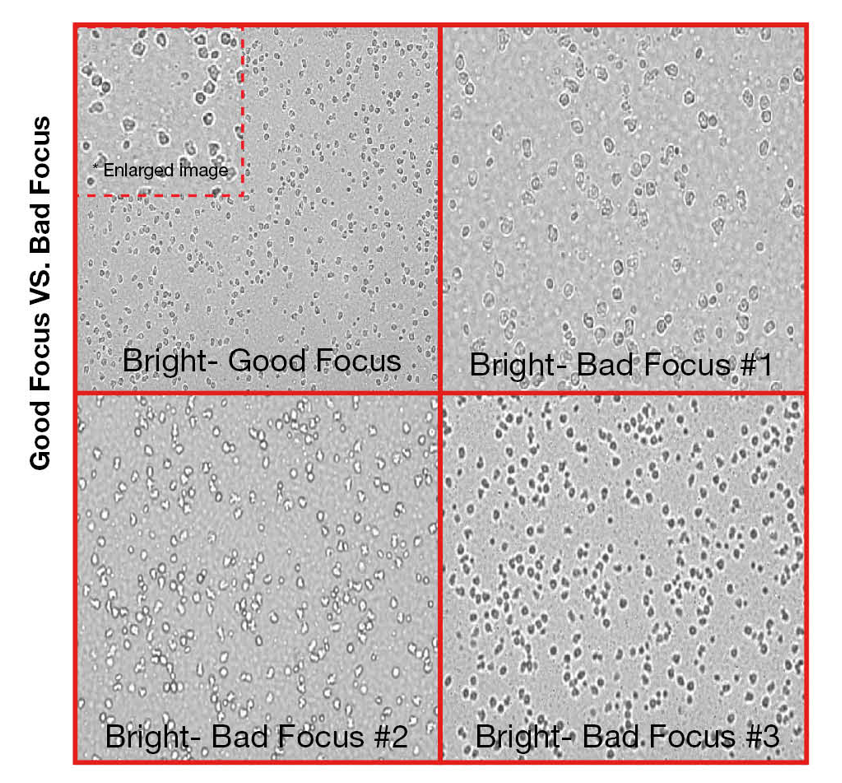 Is my focus good or bad? – NanoEntek Help Center