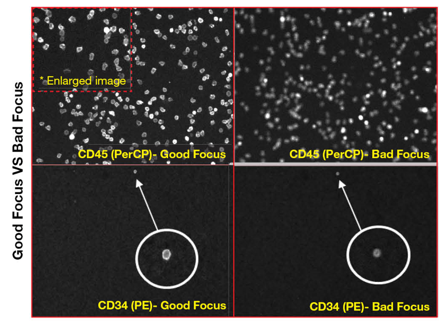 Is my focus good or bad? – NanoEntek Help Center